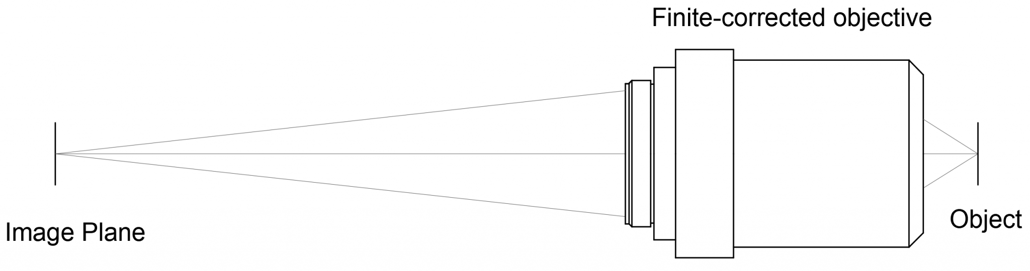 Exploring Microscope Types Shanghai Optics